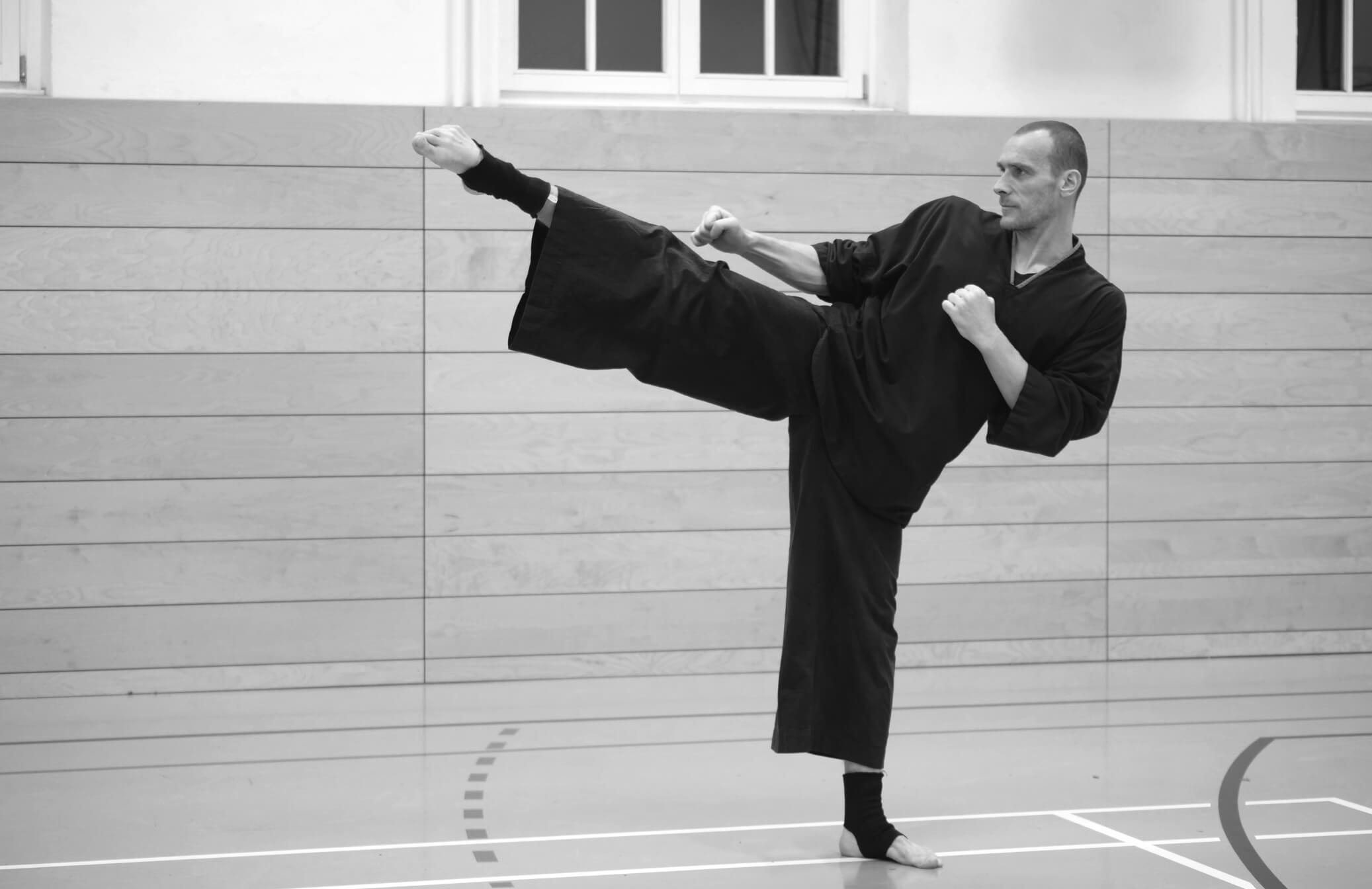 Lehrer - Damo Chuan Kung Fu